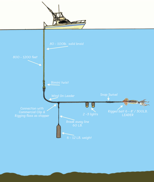 Daytime Deep Dropping For Swordfish in Southern California - Melton Tackle